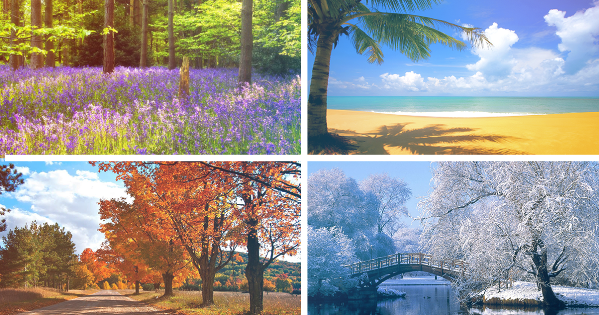 Estaciones del Año en Estados Unidos: Guía y Fechas Claves