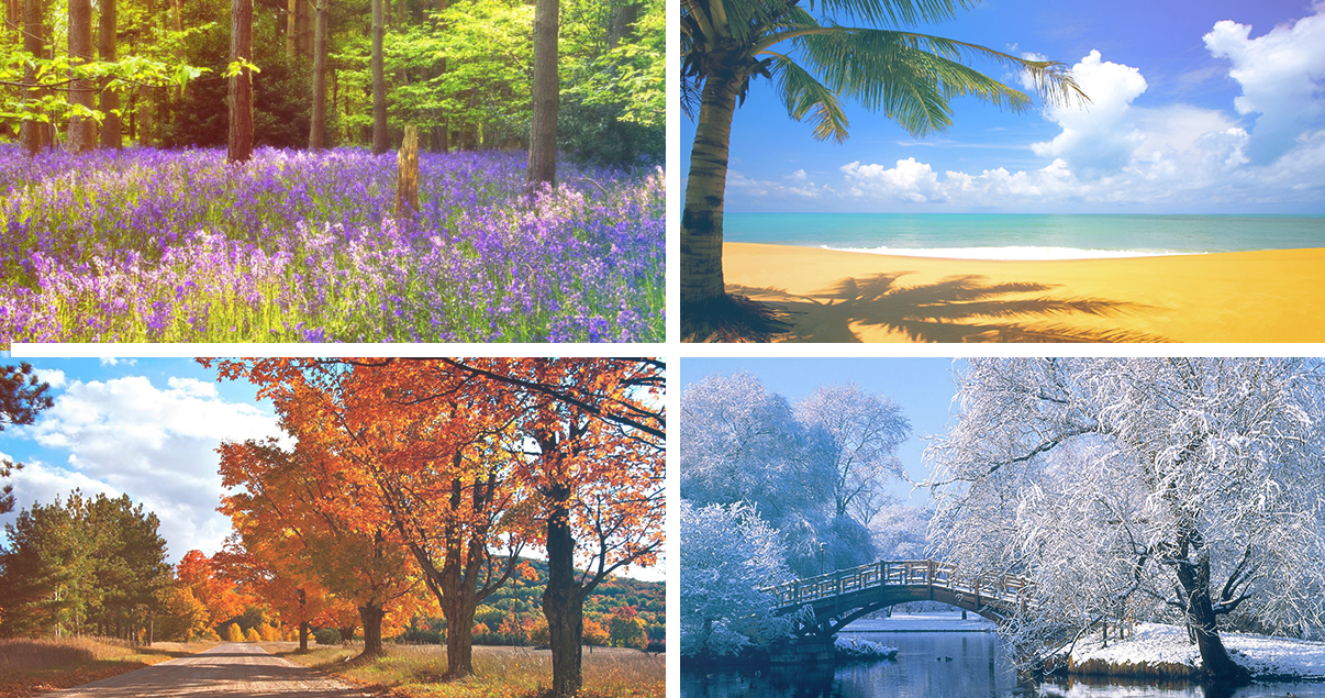 Estaciones del Año en Estados Unidos: Guía y Fechas Claves