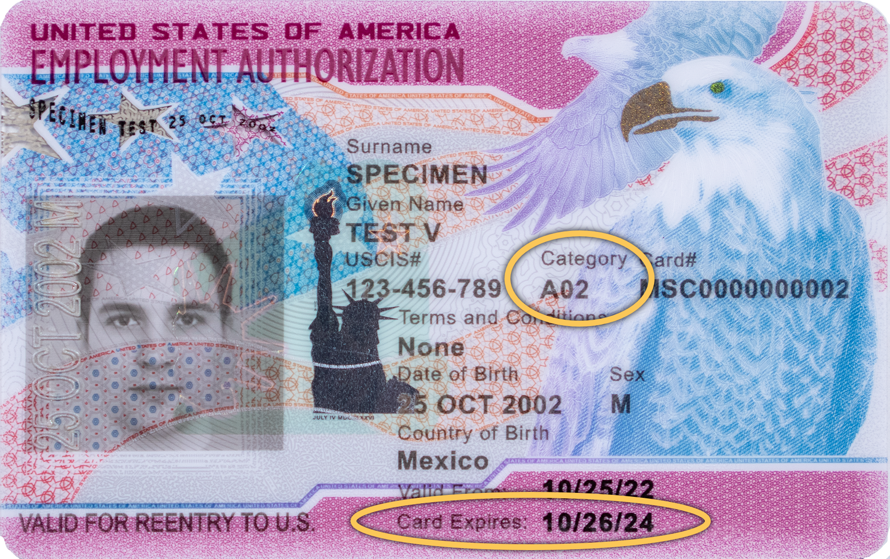 ¿Qué es el permiso de trabajo EAD en USA? Cómo obtenerlo, visa y social ...